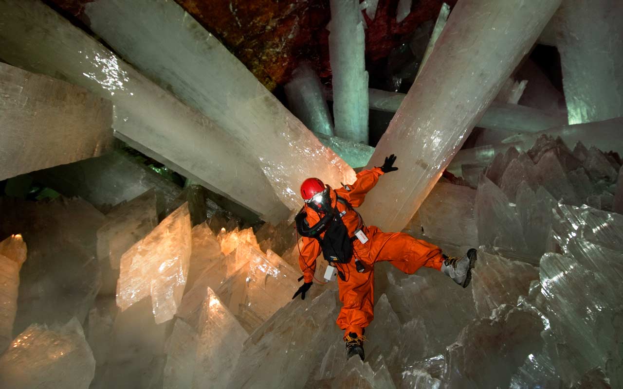 Cave of the Crystals or Giant Crystal Cave | Animal Photo