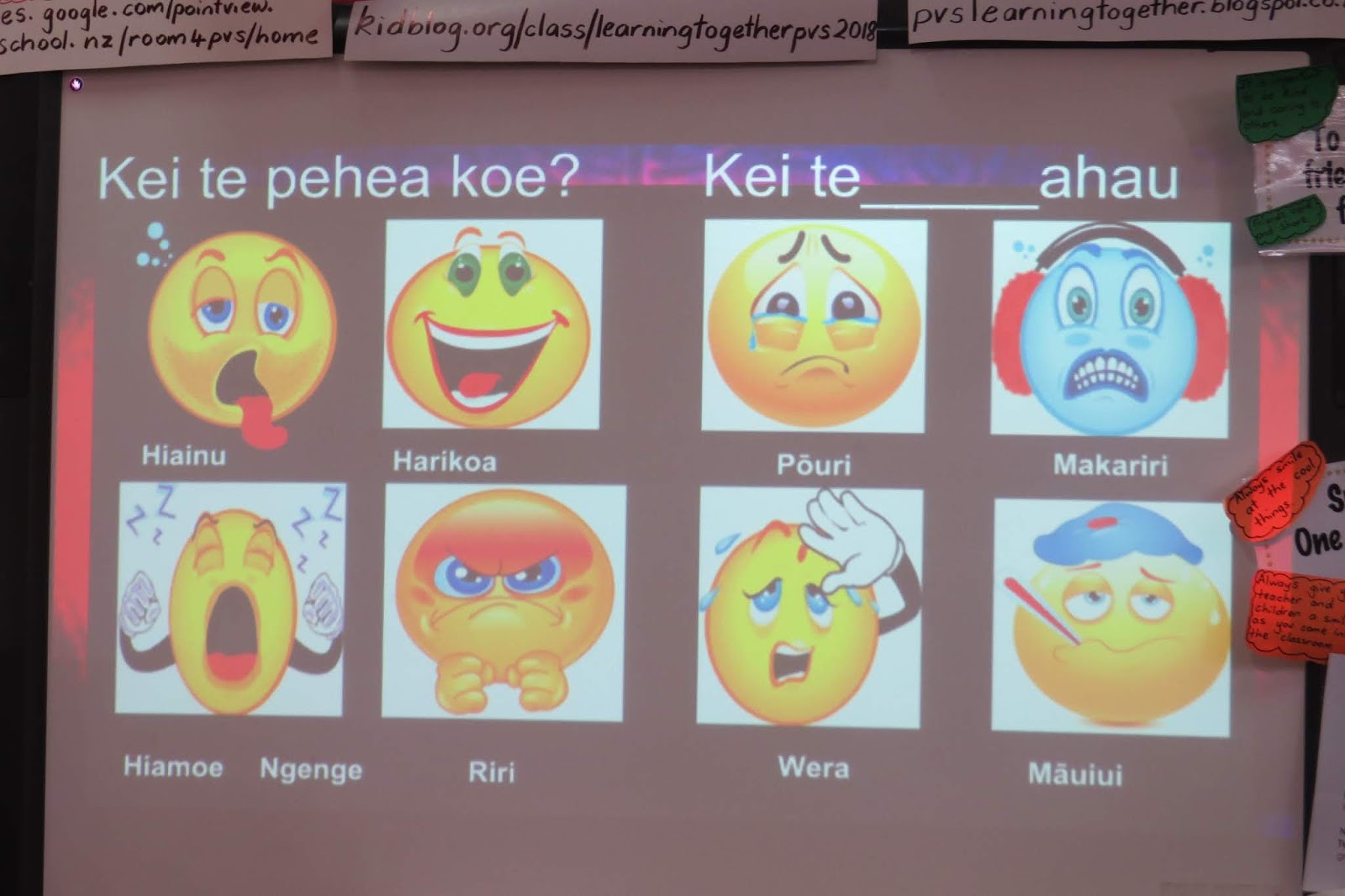 PVS Learning Together: Maori lessons from Whaea Paddy