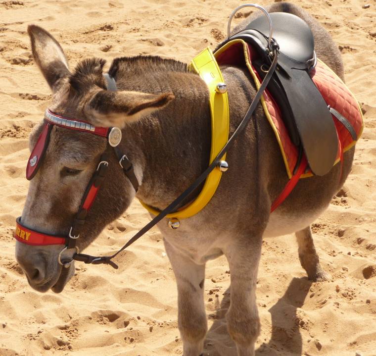 Fun In Skegness: The Wednesday Blog Hop - Claire Justine