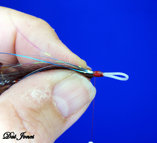 Flies step by step: Snake fly, step by step.