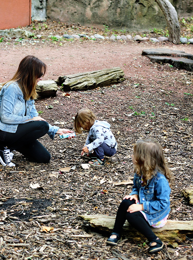 Bubby and Bean ::: Living Creatively: Our Day at the Zoo: Finding New ...