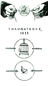 Animation: Thaumatrope: Bird and the Cage