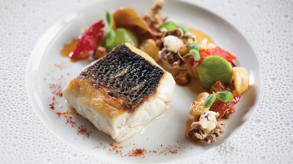 Sora's Pictures of Various Cool Stuff: Top Notch Foods