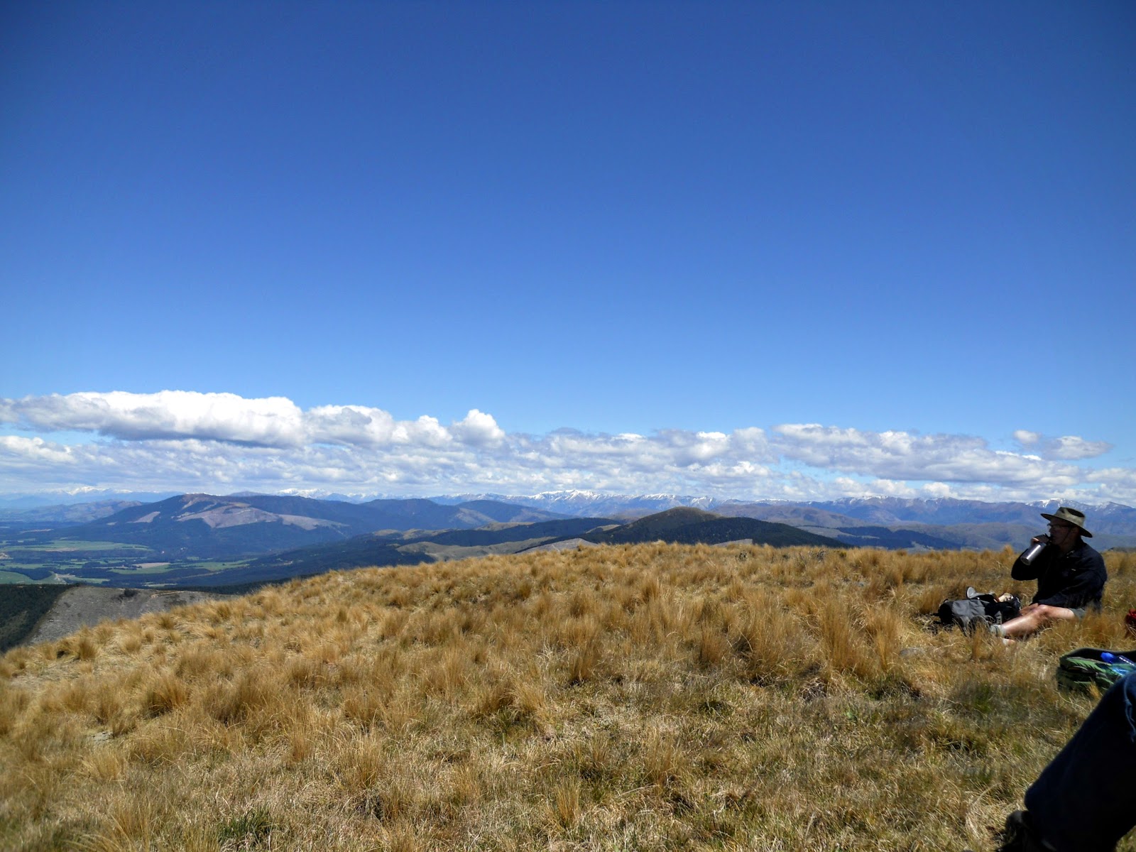 Tramping in the New Zealand backcountry: NZ Bush Adventures: Mt Grey ...
