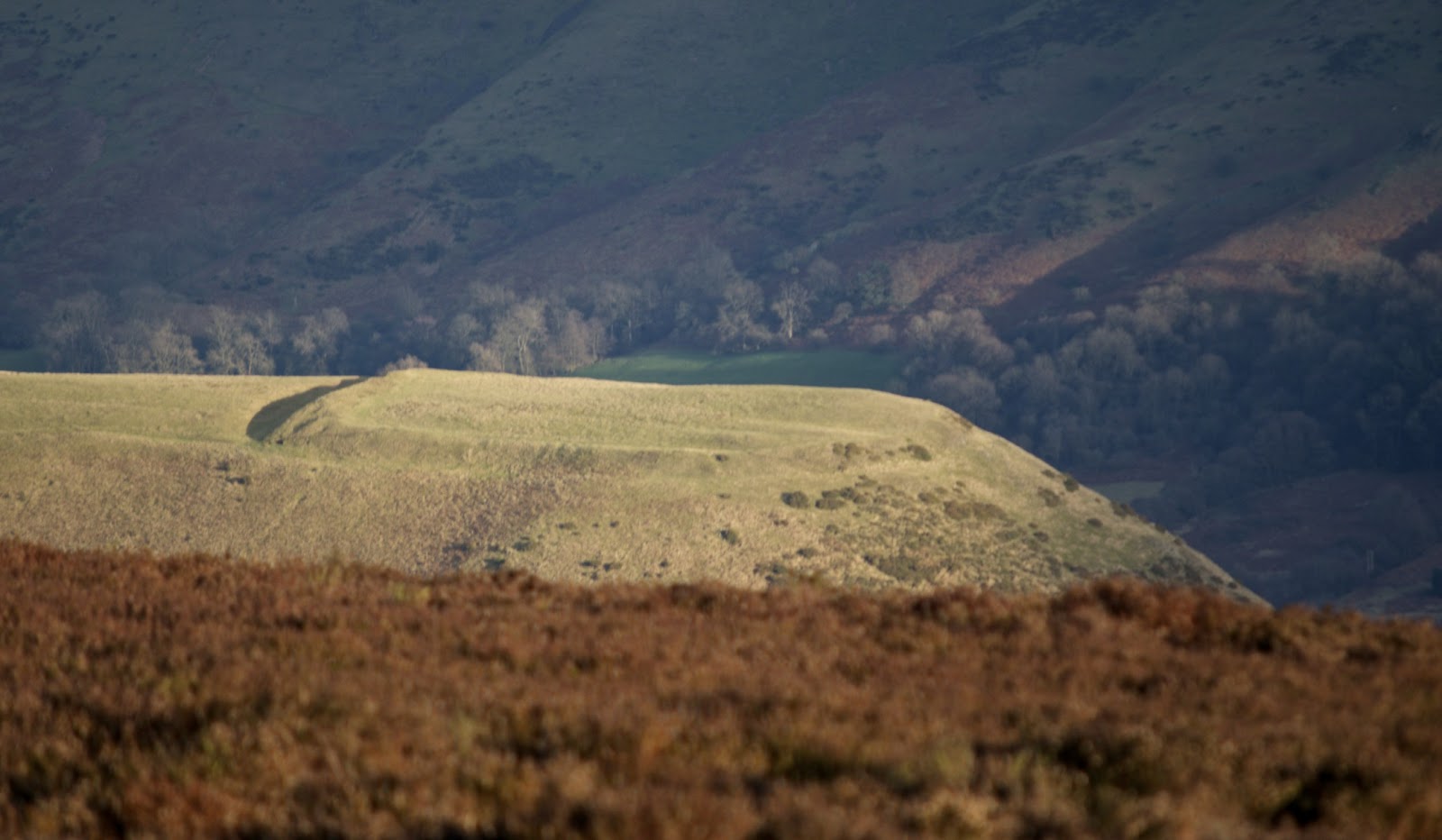 The Plashing Vole: 2013 commences in earnest