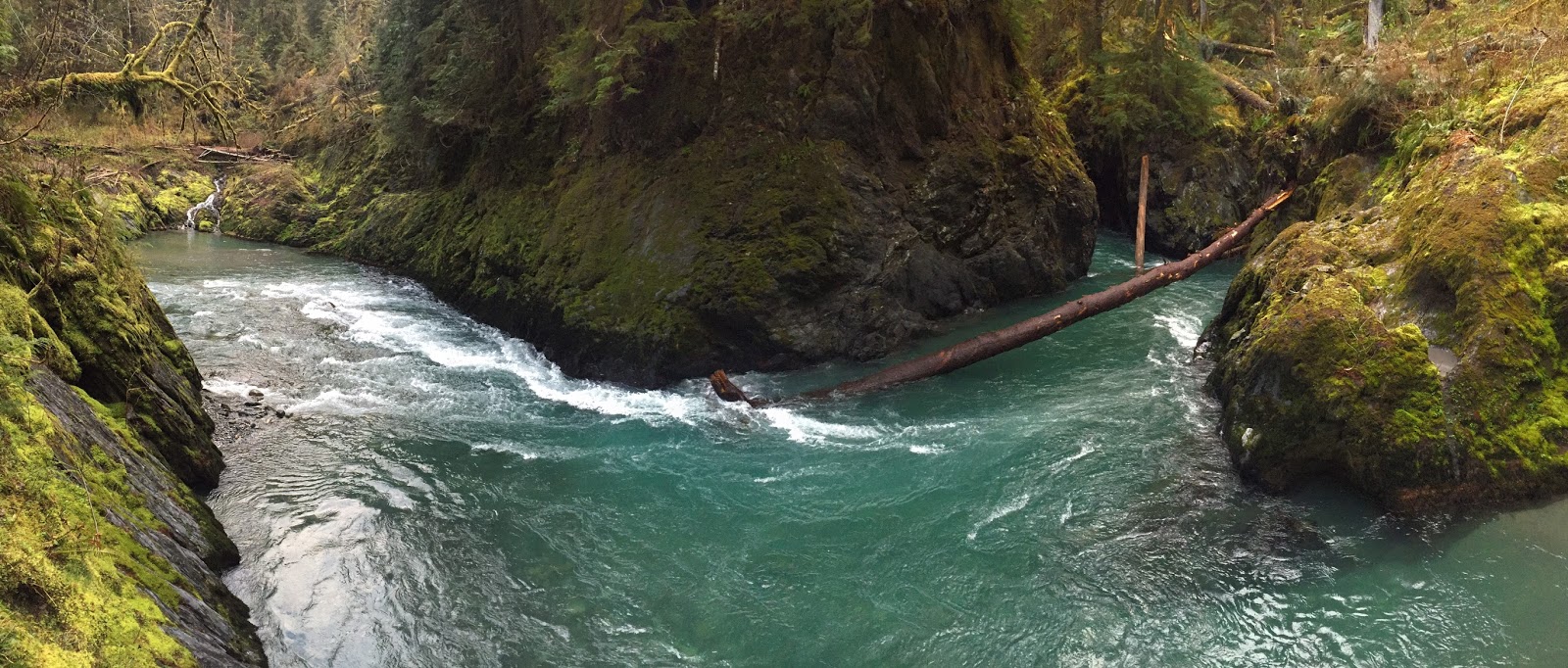 Bergquist Hike Blog: Pony Bridge Camp, Olympic National Park - April 5 ...