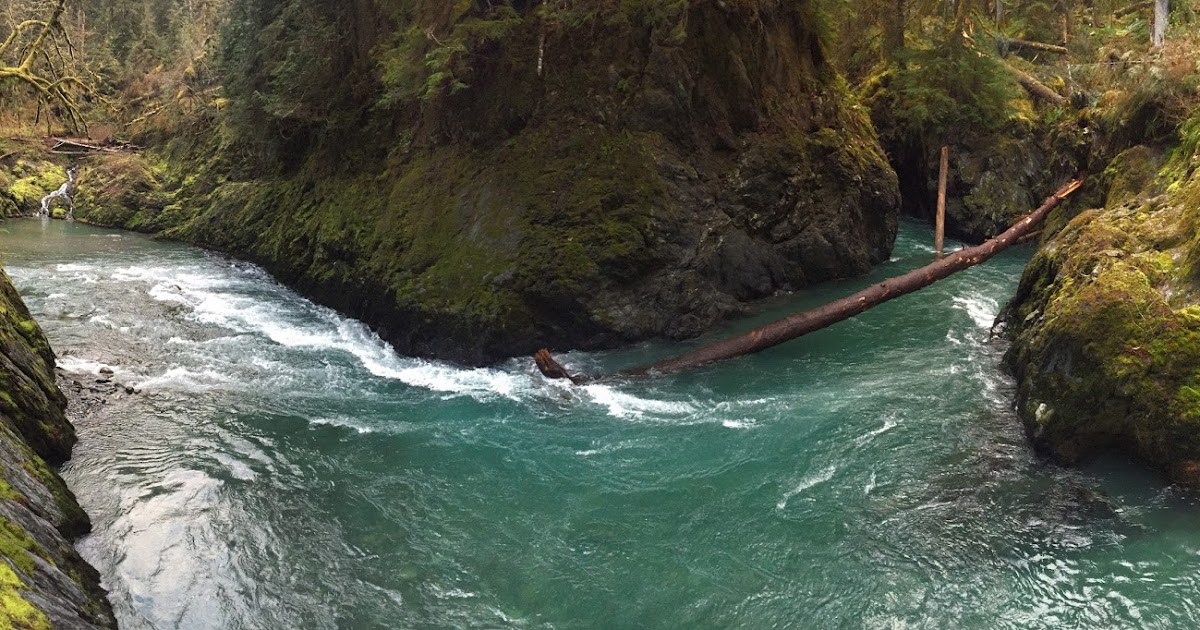 Bergquist Hike Blog: Pony Bridge Camp, Olympic National Park - April 5 ...