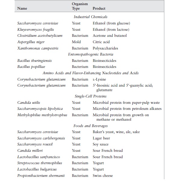 Microbiology Techniques: Fermentation Technology