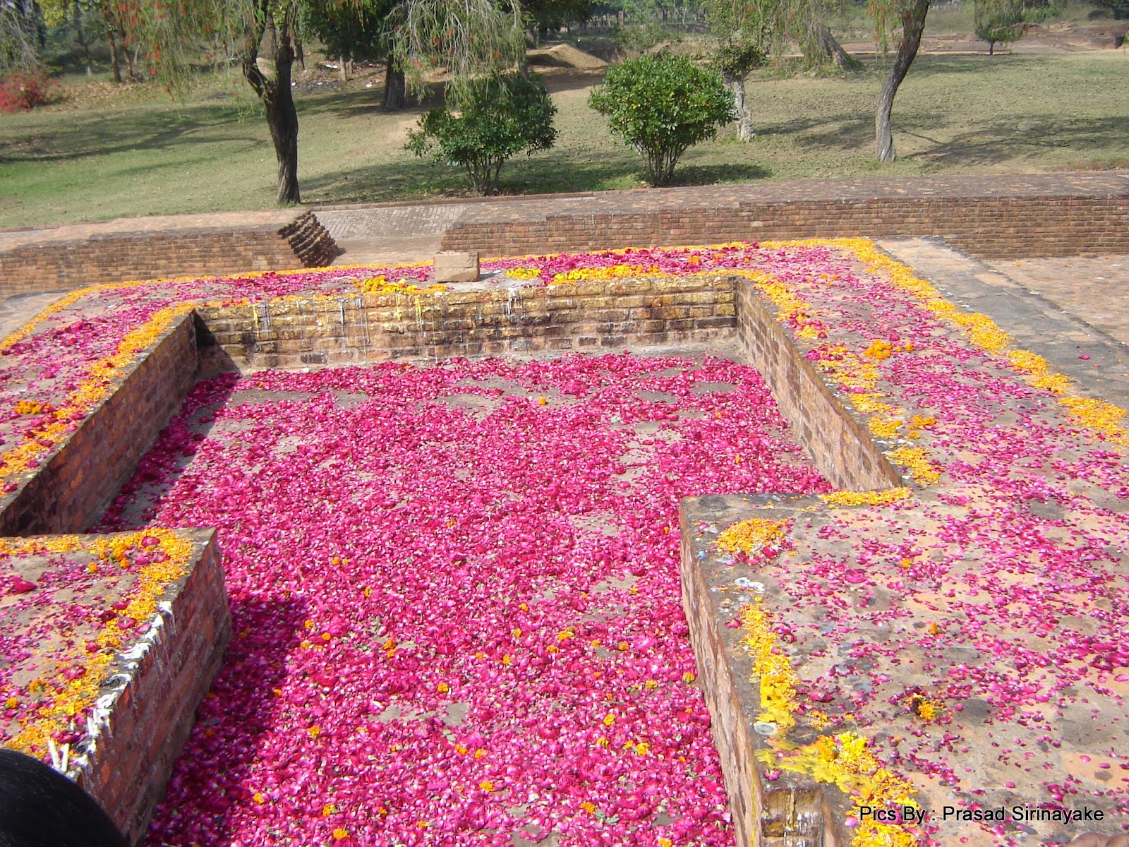 Pilgrimage to Dambadiva 2012