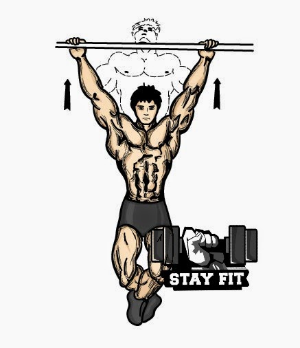 Bicep Exercises (Part 2) ~ Stay Fit