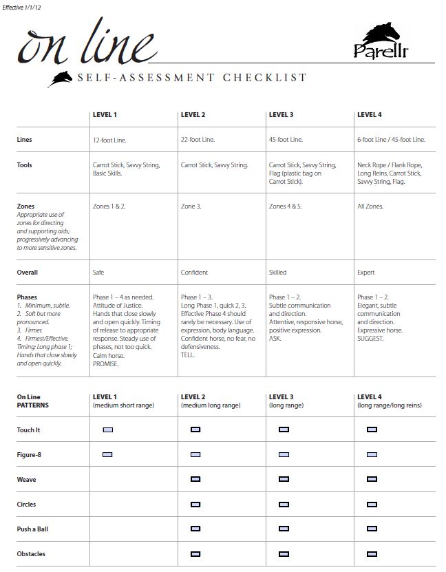 Pferde verstehen lernen - Parelli 2* Instruktorin Silvia Aigner: Angebot