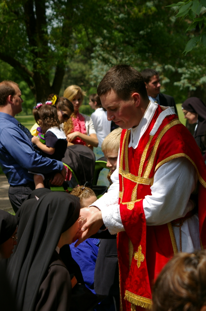 A Catholic Life: First Priestly Blessings: 2011