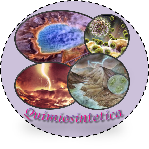 Curiosidad Biologica: Teoria Quimiosintetica