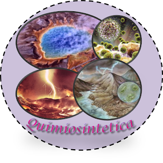 Curiosidad Biologica: Teoria Quimiosintetica