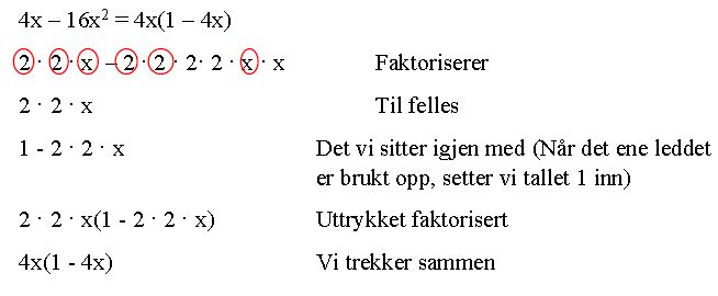 Matematikkens Verden: Faktorisering av uttrykk