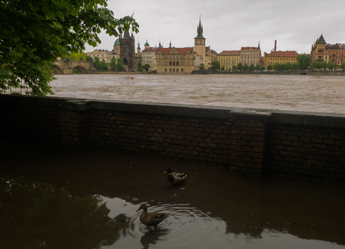 Seemorerocks: Floods in Czech Republic