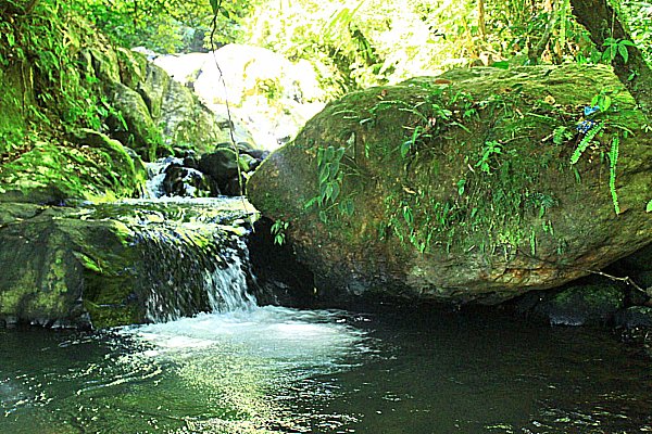 Patag Valley (Silay City, Negros Occidental) – B.L.A.S.T. – Live Life ...