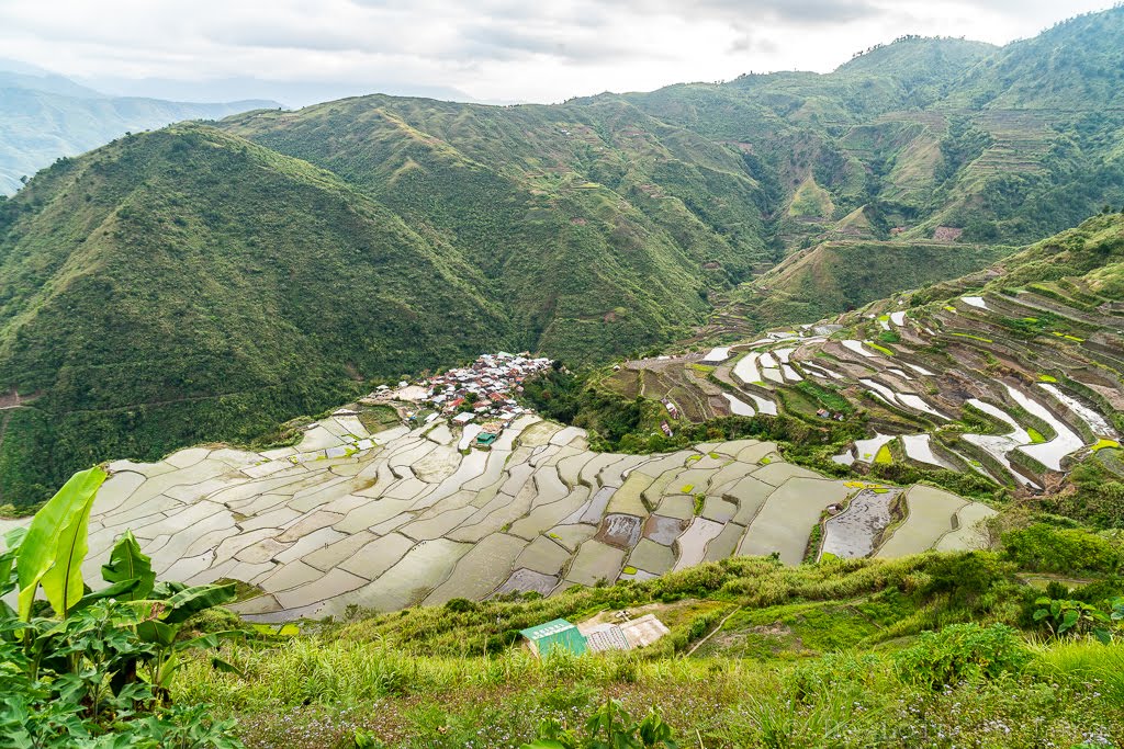 Philippines - jour 2 : Banaue - Buscalan - immersion au pays Kalinga