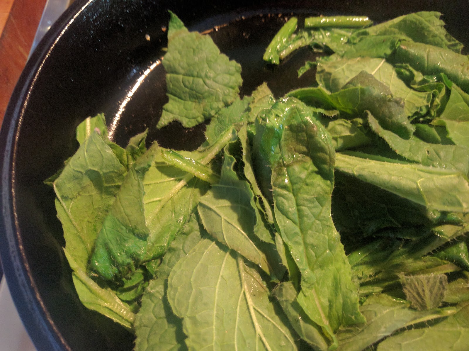 Ediculturalist: Recipe: Borage Pesto