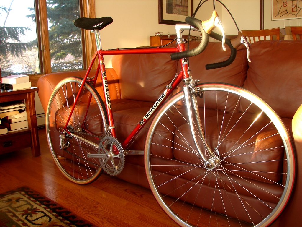 Velo Classics: 1981 Beppe Saronni Colnago