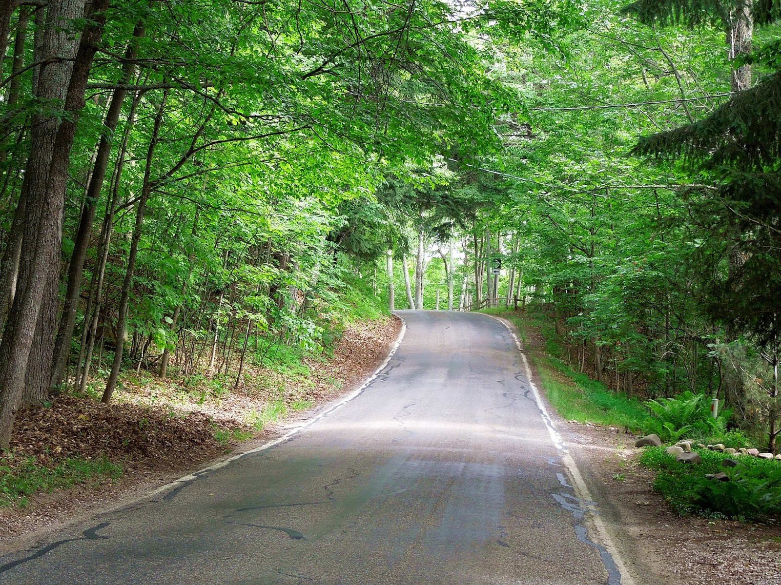 Focusing On Travel : M-119 - Scenic Tunnel of Trees Drive