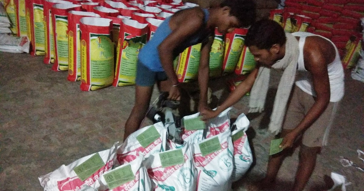 VIGNETTE HI-TECH SEED KARNAL: Paddy Seeds Processing