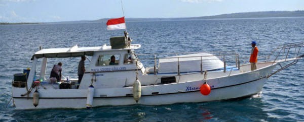 Tips Memilih Perahu Bagi Pemancing Pemula | Jual Alat Pancing Mini