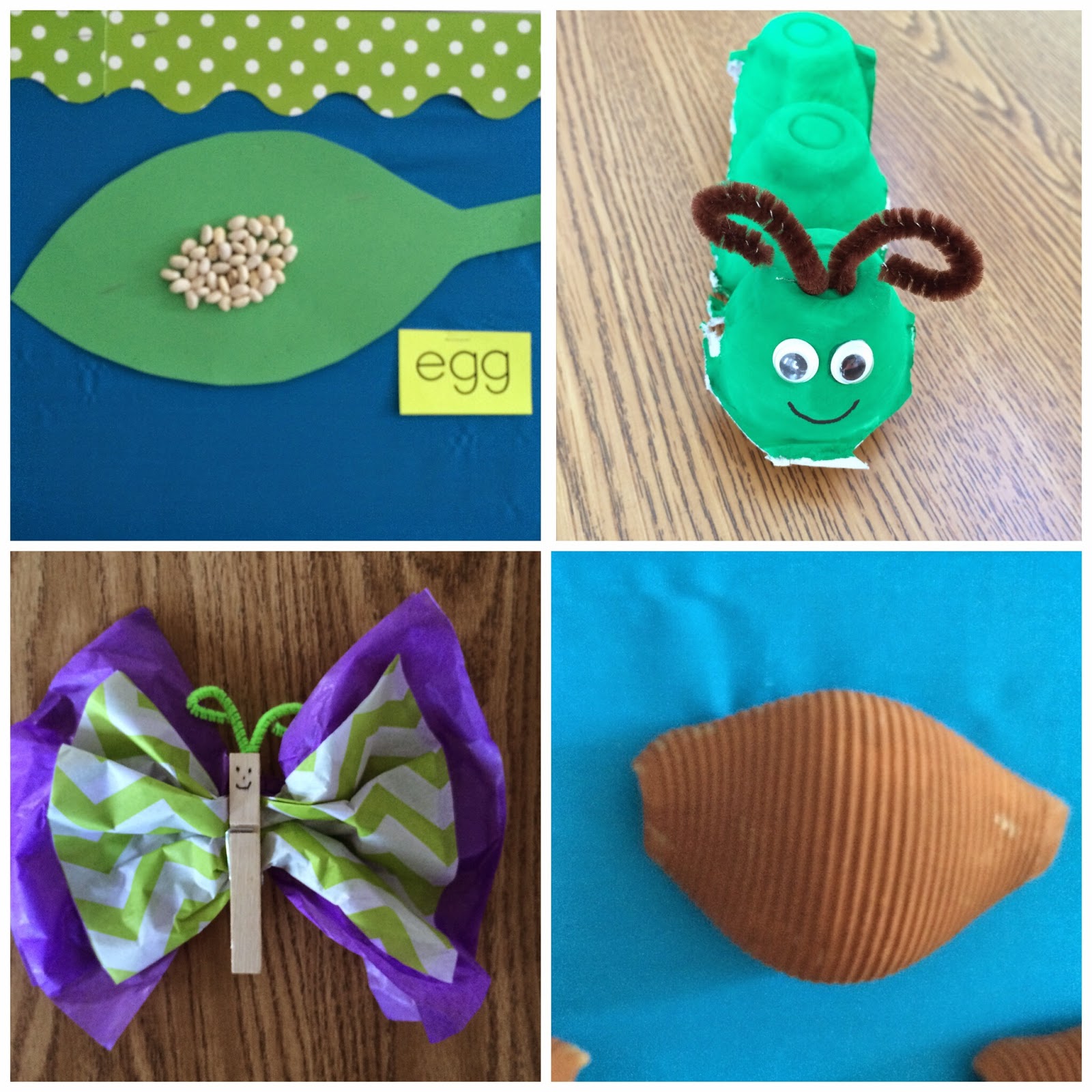 All Kinds of Insect Fun - Mrs. Pauley's Kindergarten