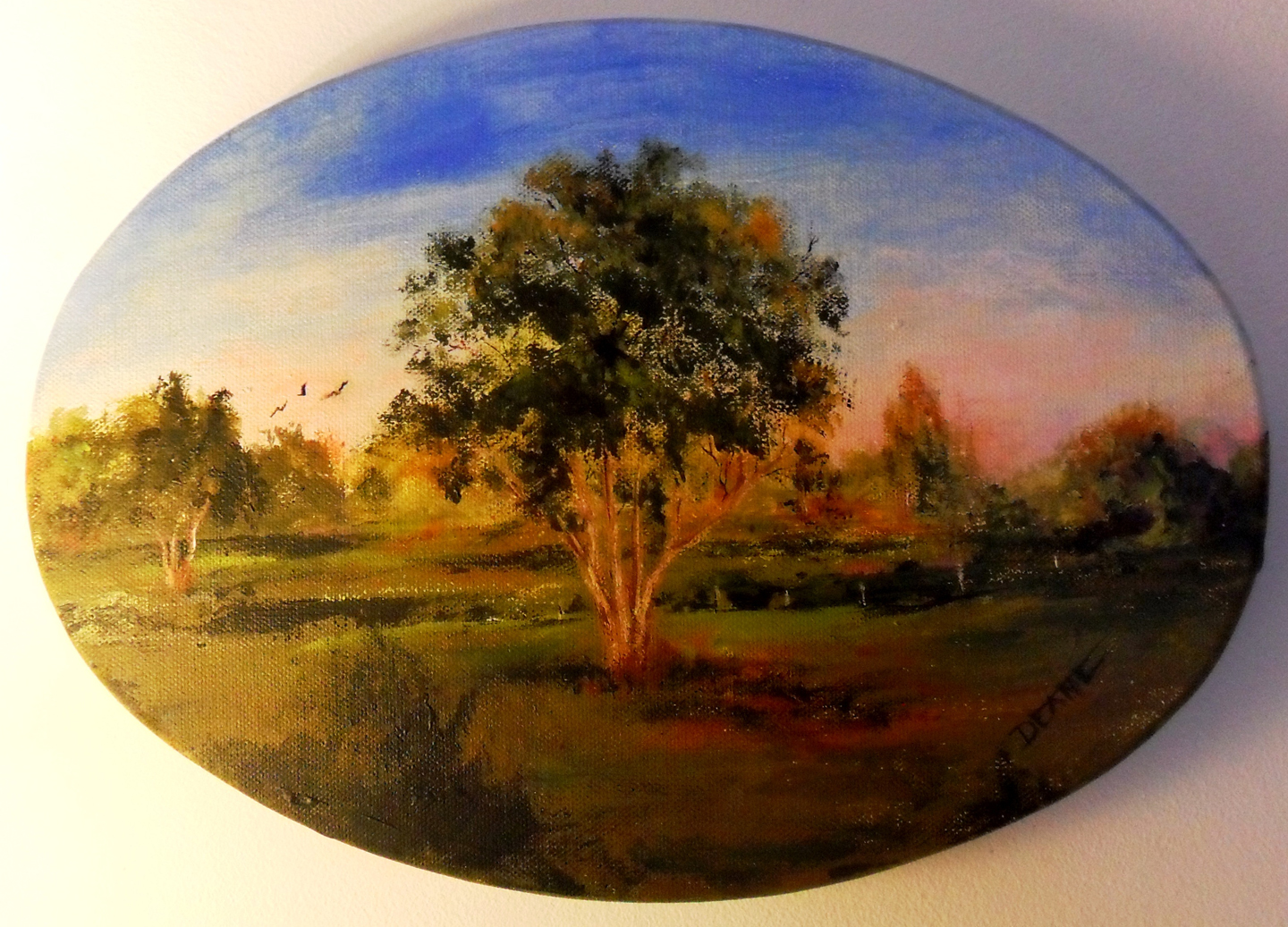 Moristotle & Co.: Thunder Down Under: Oval landscape