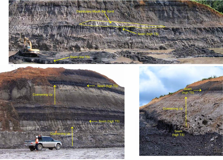 Teknik Penambangan Batu Bara: GEOLOGI BATUBARA