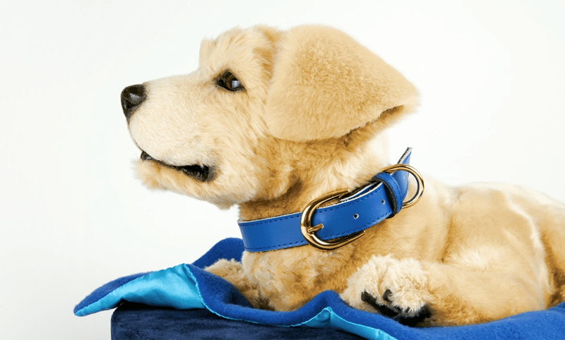 Futurix: Tombot, il primo cane robot iperrealistico Futurix: Tombot, il primo cane robot iperrealistico