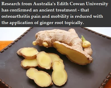 Our Enemy the FDA: Ginger Treats Osteoarthritis with Topical Application