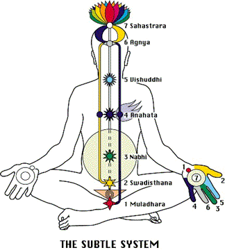 parobo: MACAM MACAM CAKRA