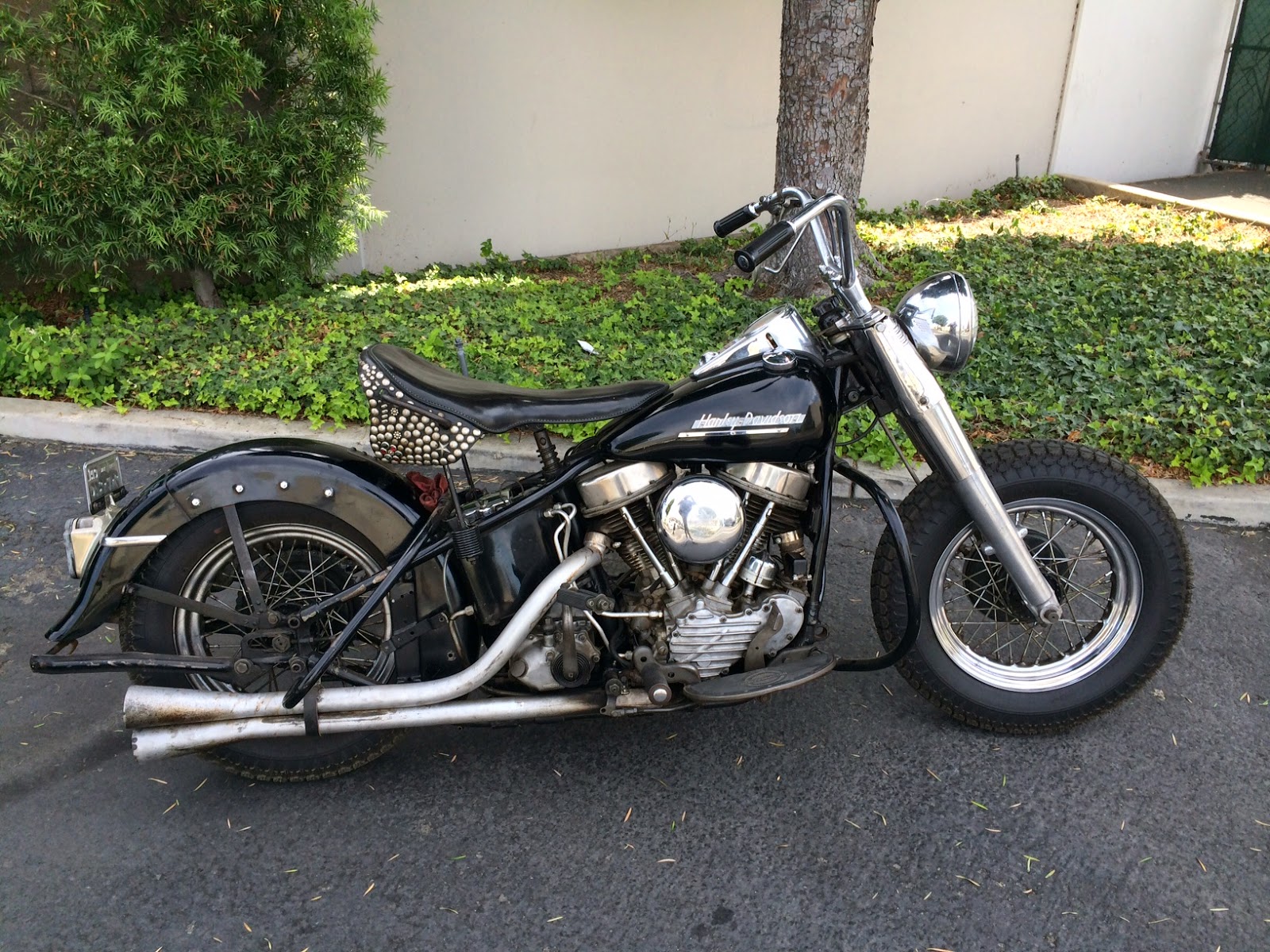 Born Loser: 1951 Panhead EL For Sale