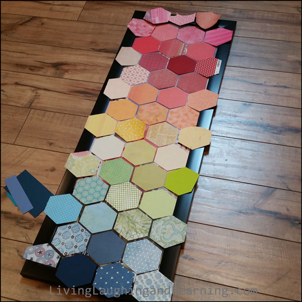 Living, Laughing, and Learning: Summer Hexagon Project