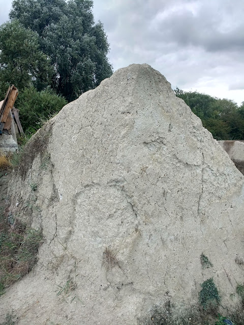 Perambulatory Ramblings: Coldhams Common: Liminal Greenspace