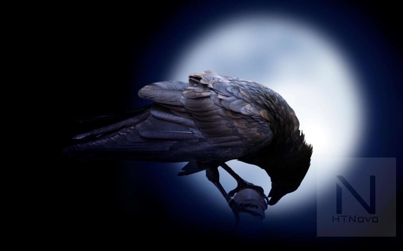 Download Call of the Raven, Tema per Windows 10