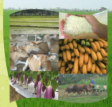 Agribisnis...(1) | DR. Arif Zulkifli Nasution