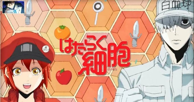 ¿Cathuria no existe?