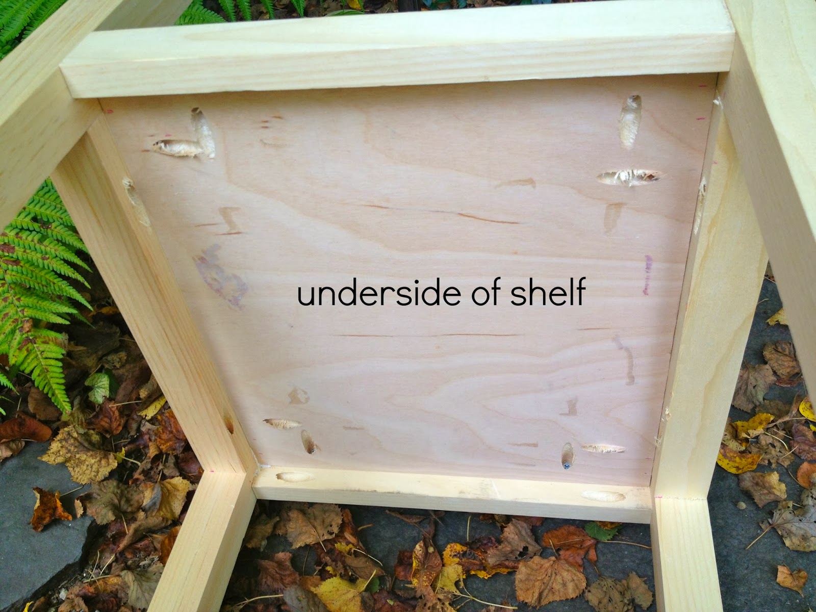 DIY Craft Island - Jaime Costiglio