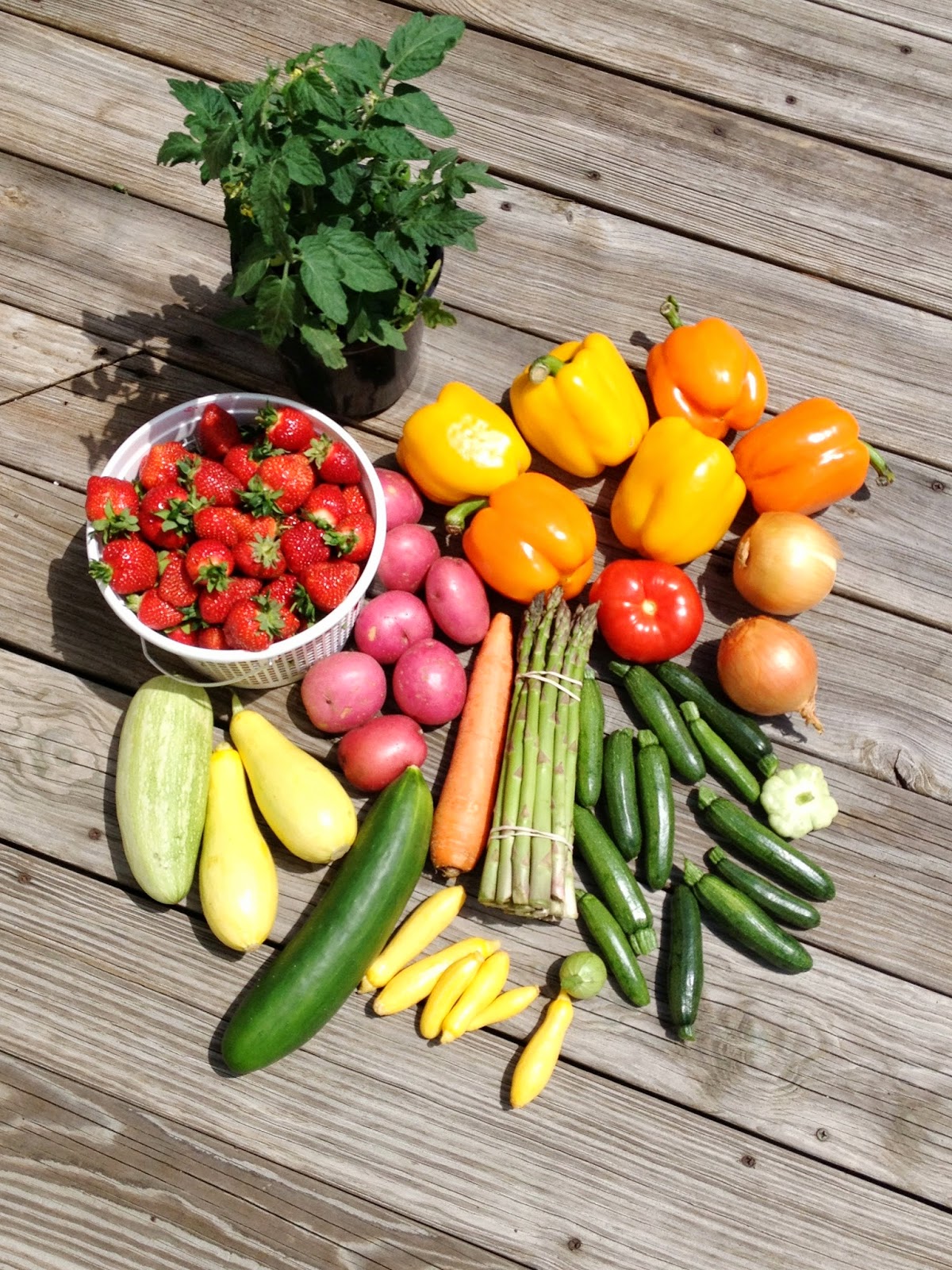 Bonz Blogz: Farmers Market and Produce Stand