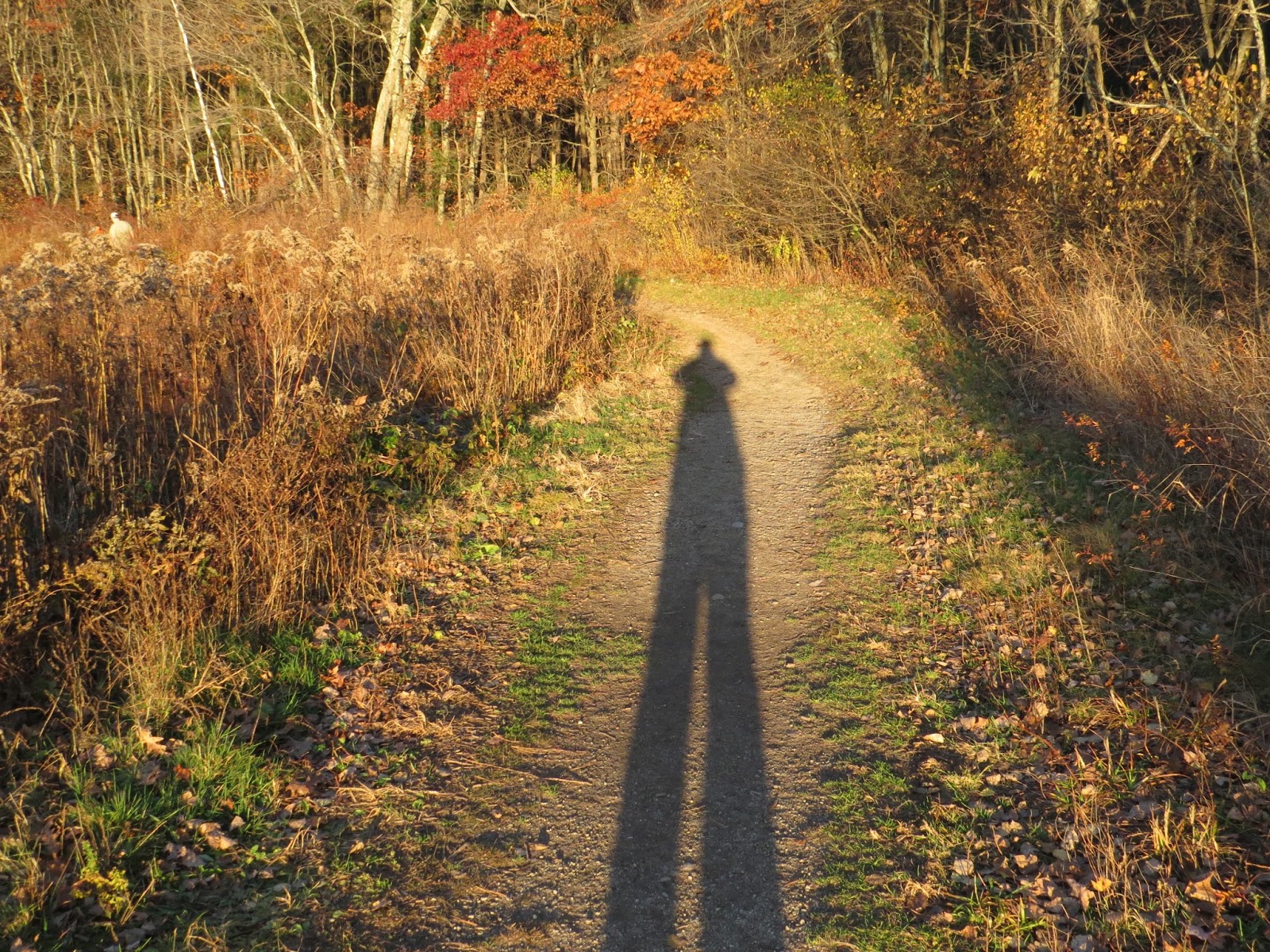 Interest Empire: The photographer stands tall by casting a long shadow