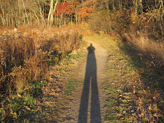 Interest Empire: The photographer stands tall by casting a long shadow