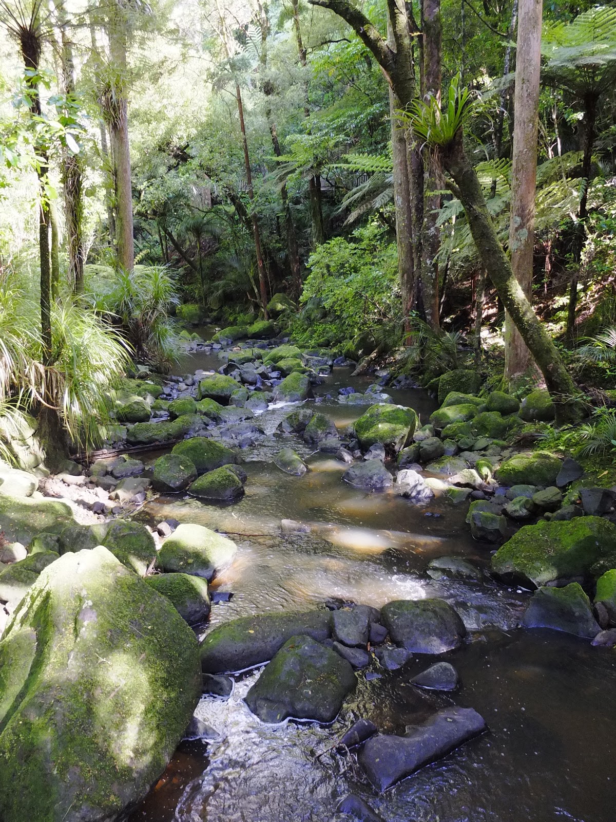 Nadly Aizat: Journey to Northland, New Zealand - Whangarei