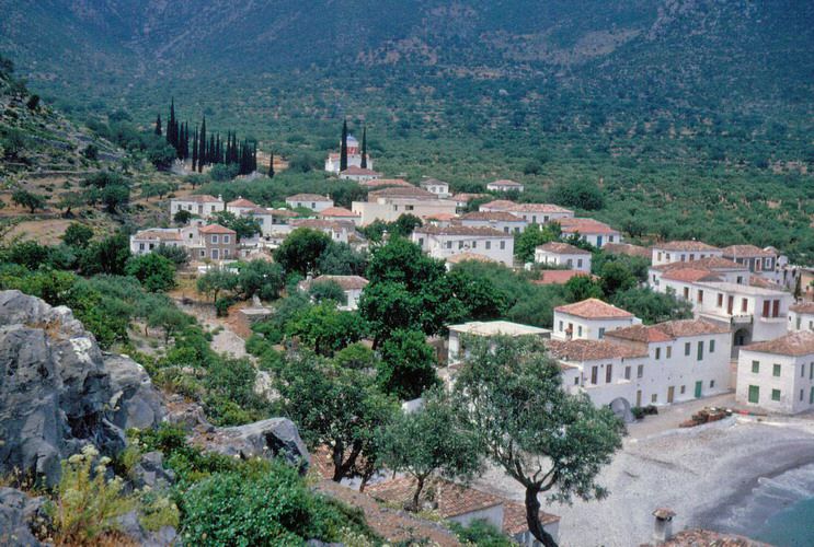 σπυρος πετρολεκας: το ΚΥΠΑΡΙΣΣΙ του χθές .....