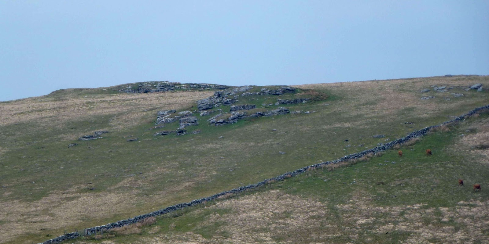 My Dartmoor Walks: Sunday 20th May Crow Tor