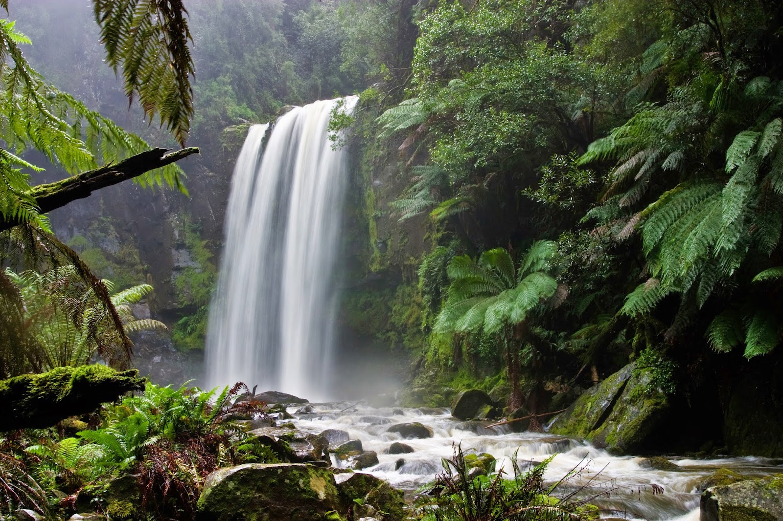 AS MAIS BELAS IMAGENS DA NATUREZA
