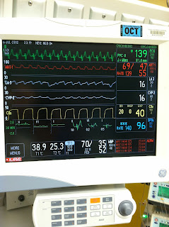 Big Gun & Lil Gun: The Life Monitor