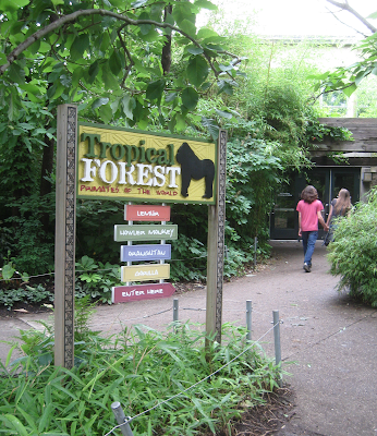 Randuwa II: Pittsburgh Zoo: 2015