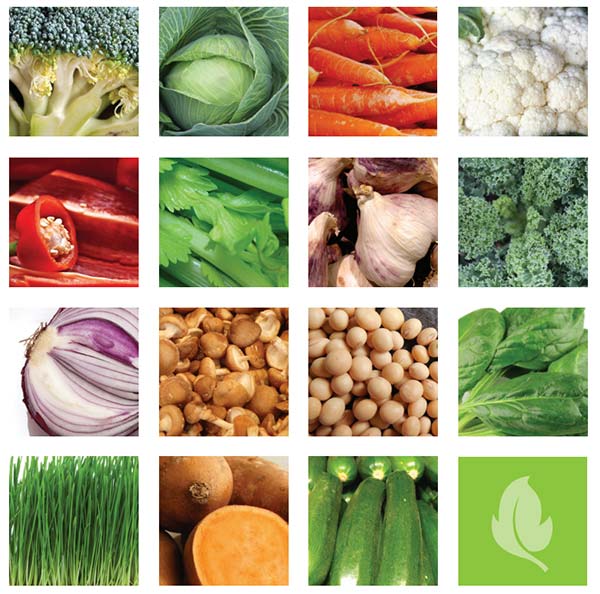 Natural Multi-Vitamin Alternative